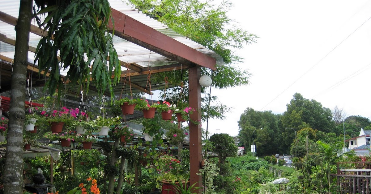 MY GREEN FINDER | Plant Vendors: Planet Green Landscapes