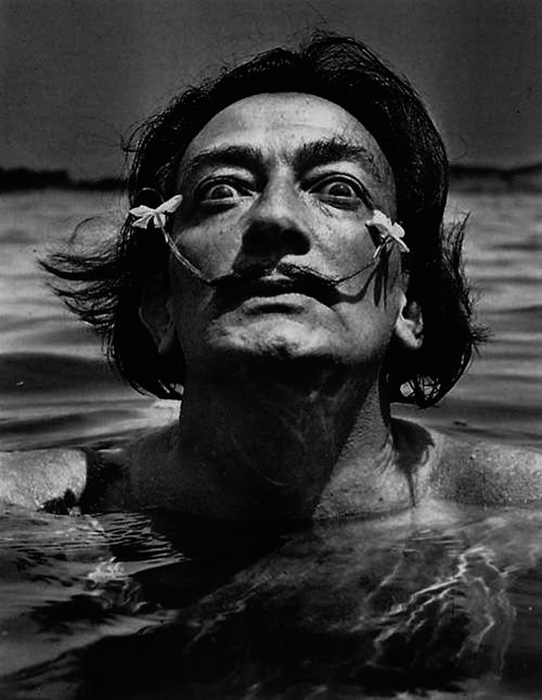 PA LO QUE HEMOS QUEDAO: SALVADOR DALI (1904-1989) Pintor