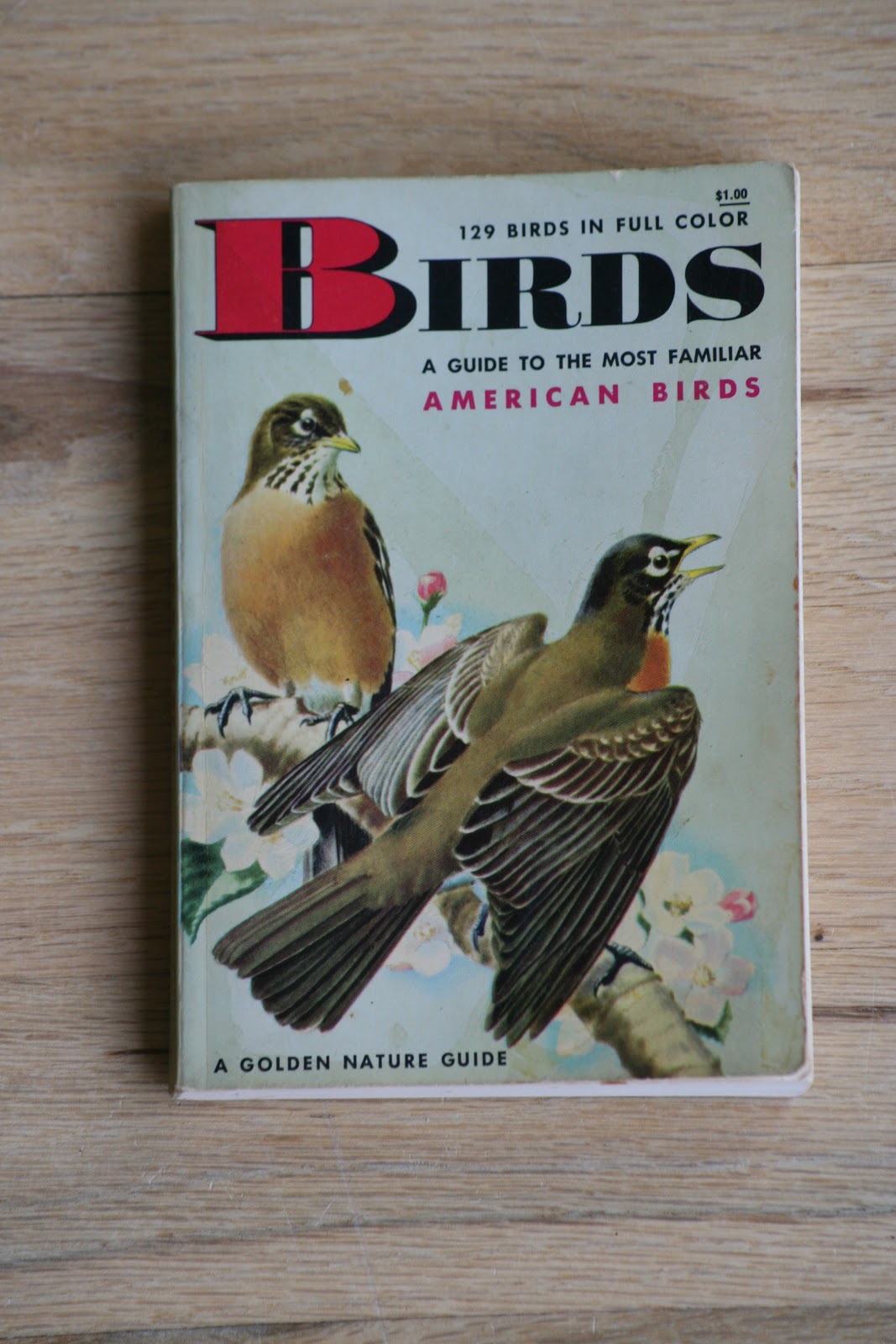 Picnics in the Park: Vintage Books: Field Guides