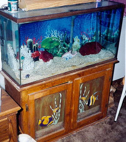Karen's Hand Painted goods: Fish Tank boredom