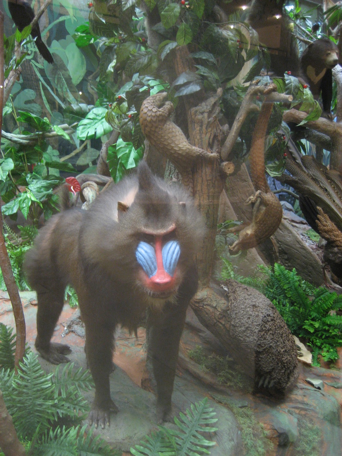 blogarithm: State Darwin Museum