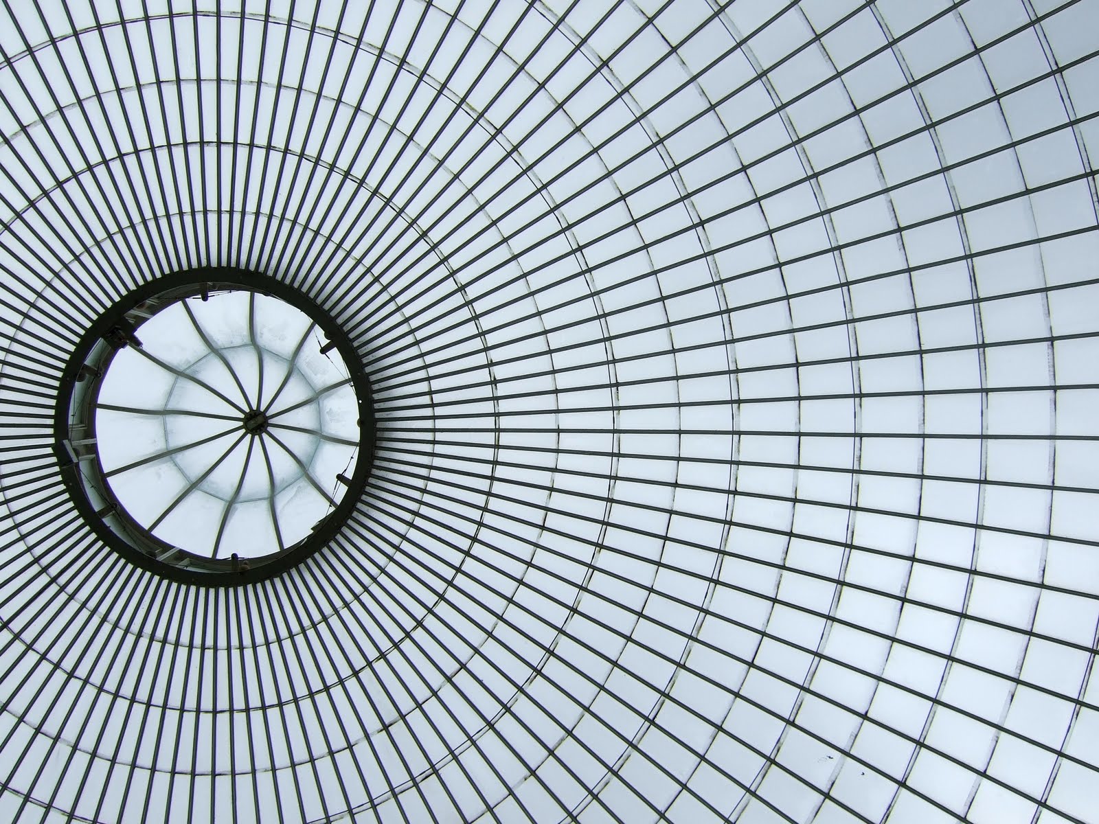 Katie Smith: Botanics - Kibble Palace