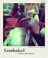 Adsum Domine: April 2009