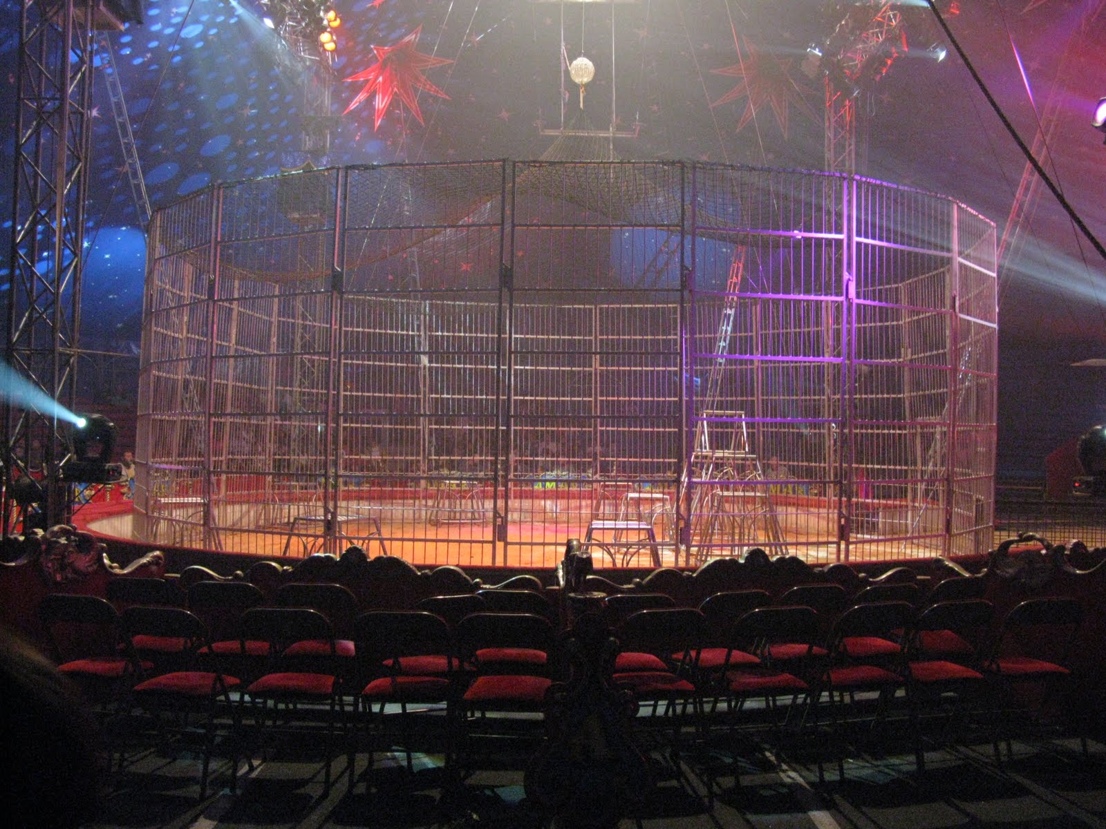 France Encore: Circus - June 8