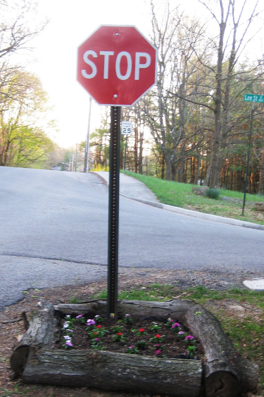 Blacksburgdailyphoto: Flower garden