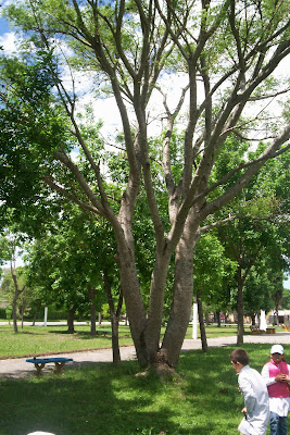 Los invitamos a conocernos y a todos los que nos visitan: ¡Gracias ...