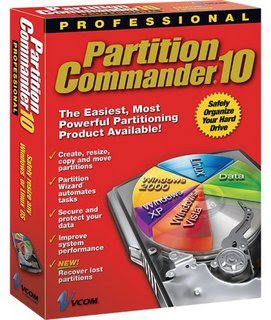 Los virus informáticos: El contraataque I