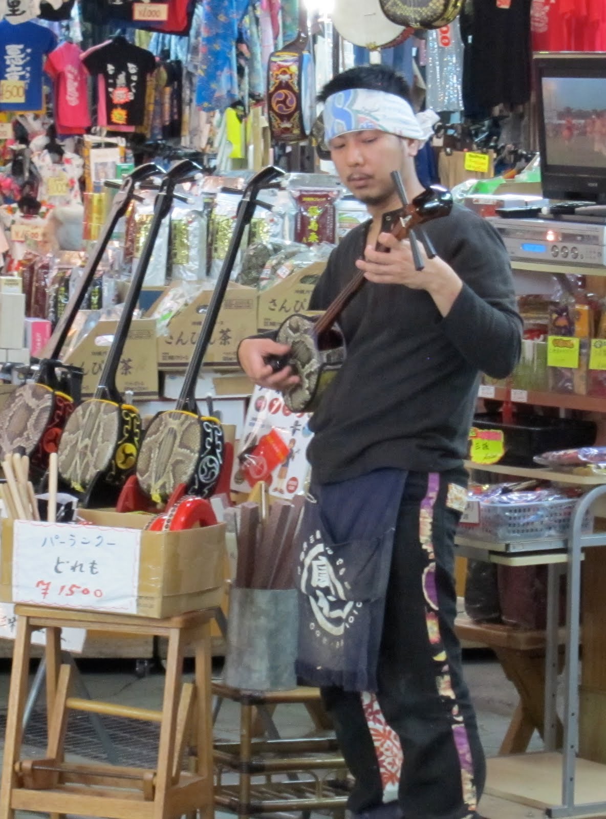 Narrow Road to the South 内なるの細道 : Snakeskin Banjo