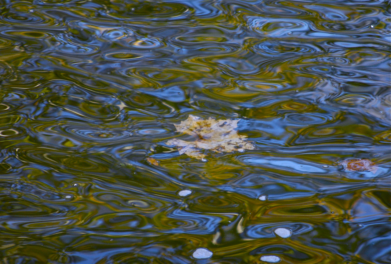 Riverdaze…: AUTUMN FLOATING DOWN-RIVER