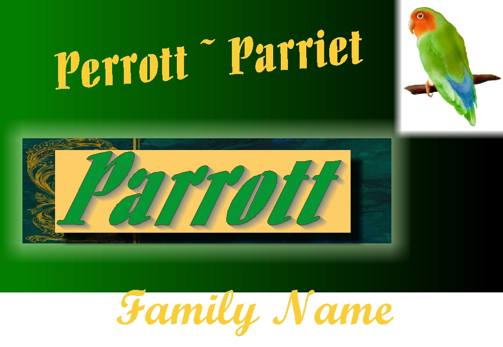A Tree Full Of Parrott's ~ Untangling the Roots: A Perrott Landed in ...
