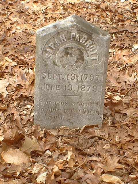 A Tree Full Of Parrott's ~ Untangling the Roots: Great Uncle Jesse Parrott