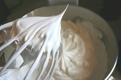 Jolts & Jollies: Daring Bakers August 2010: Baked Alaska
