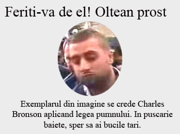 ŢARA MEA CU OAMENI PROŞTI: Prosti prostilor din Romania