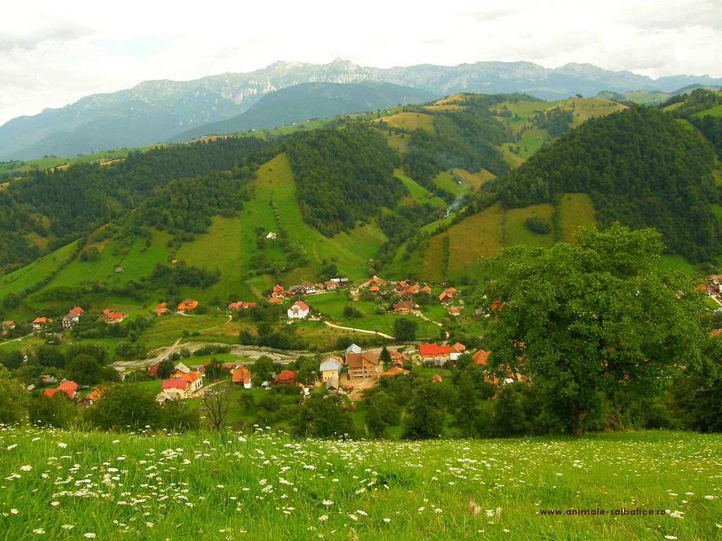 Poze cu ......: POZE CU PEISAJE