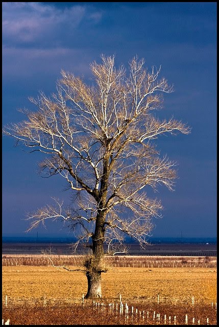 Poze cu ......: POZE CU PEISAJE