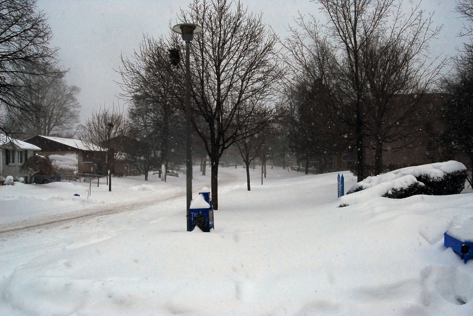 Snowmageddon 2010 - Chase March - Official Site