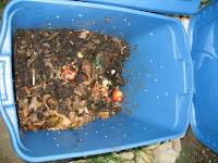 Garden Portraits: Let It Rot! (For composting beginners)