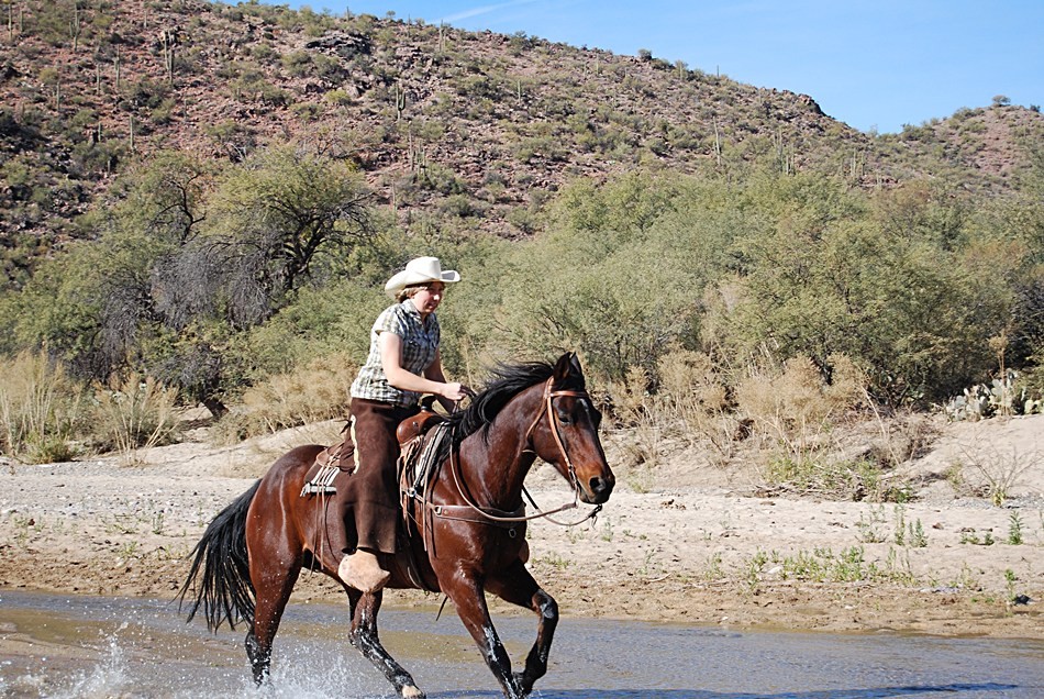 Vacation at the Williams Family Ranch, Arizona: February 2011