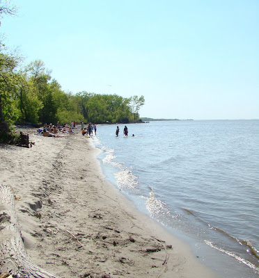 Natural disasters in the World: Delta Beach declared a disaster zone