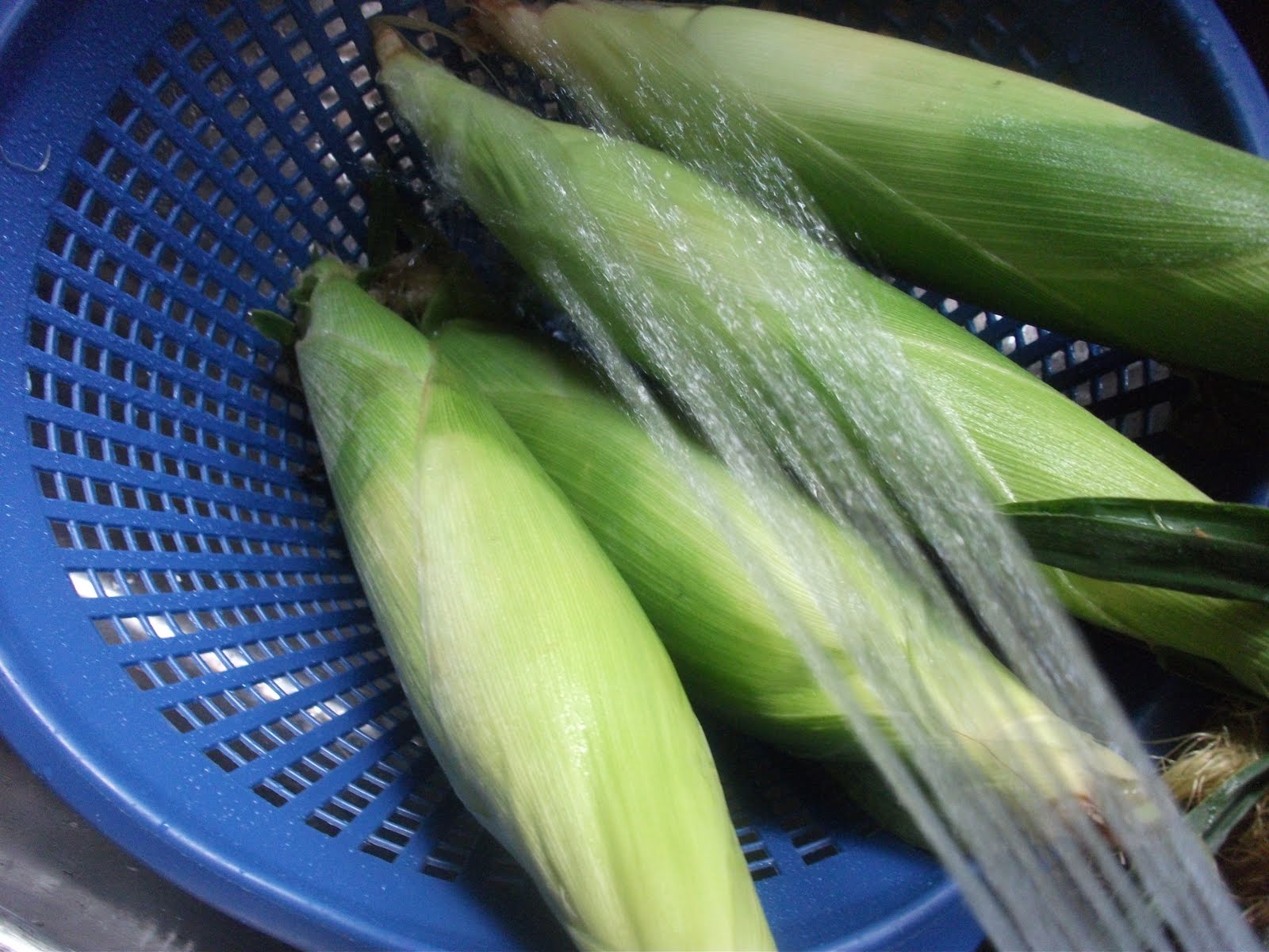 Oven Roasted Corn On the Cob