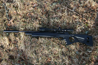 Cipheron's Airguns: FX Storm .22