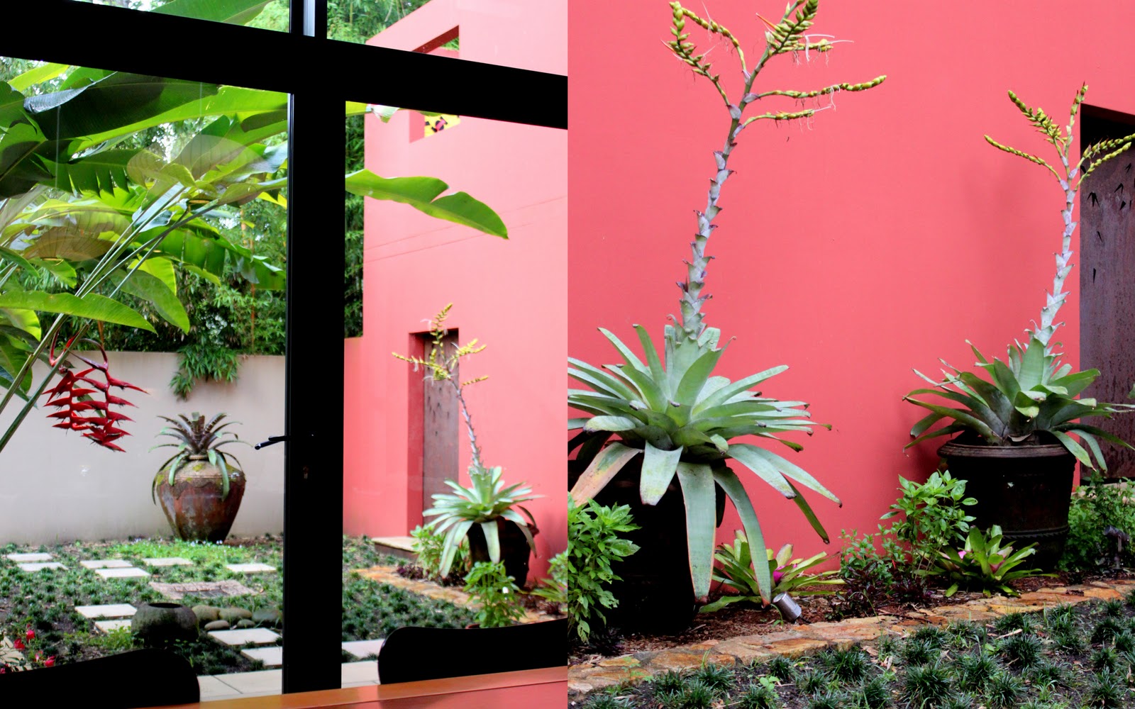 green been: claudia nevell, garden expressions