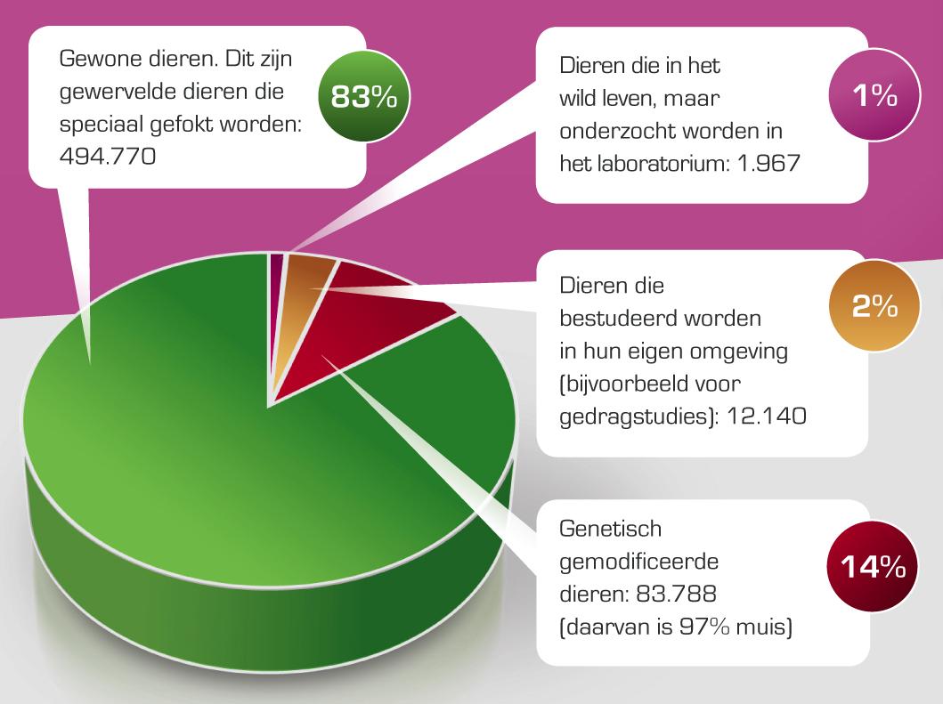 Dailynoted: Aviva vertelt jullie over dierproeven!