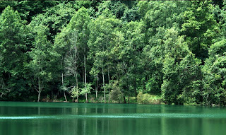 OASISBROTHER: El rumbo es michoacán II