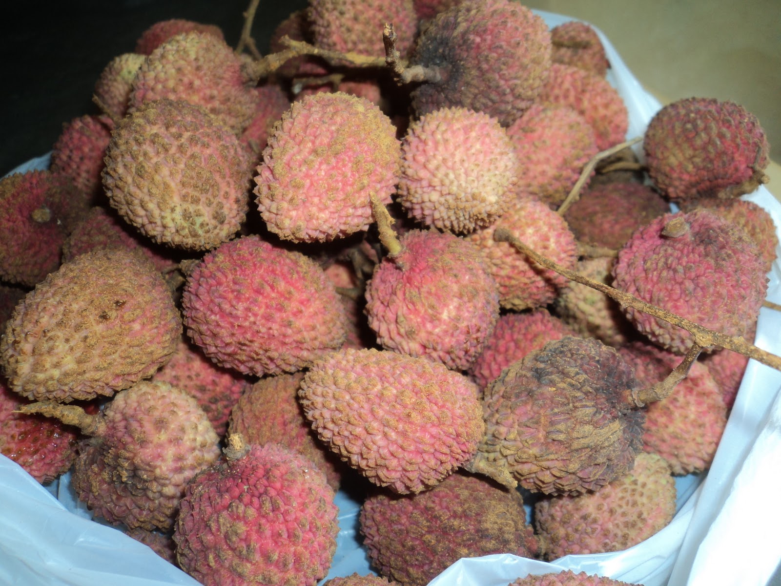 Fada Criativa: Fruta Lichia