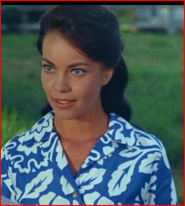 Classic Film and TV Café: Chicks Dig Guys Who "Ride the Wild Surf"