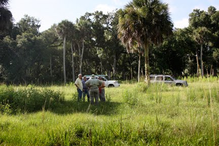 Photo Journal: Kissimmee River Basin - The Northern Everglades ...
