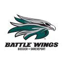 NFL Regular Season 2010/2011: Tulsa Talons vs Battle Wings live ...