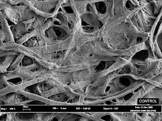 Adrian's baboonstudio: Filter paper SEM