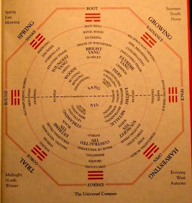 I CHING VISION: UNIVERSAL COMPASS OF I CHING AS RESONANCE