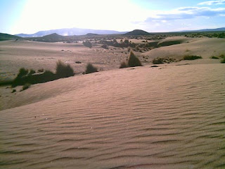 BLOG DE FOTOS DE OSQUI: ARENALES (Oruro)
