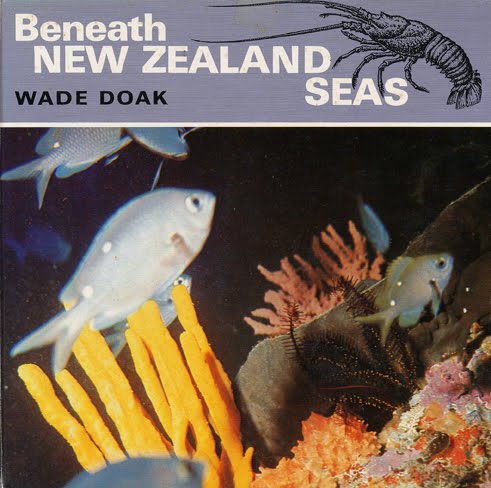 WADE T DOAK'S BLOG: Marine Life: My studies of marine invertebrates and ...