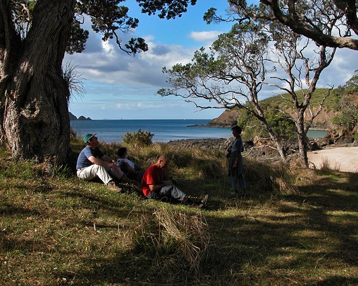WADE T DOAK'S BLOG: Pt 3: TO THE TIP OF KAWAKA PROMONTORY ON WHAKAIRIORA MT