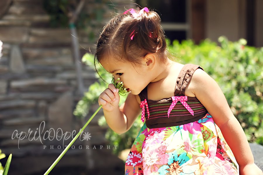 April Cooper Photography Newborn, Child, & Family Photographer ...