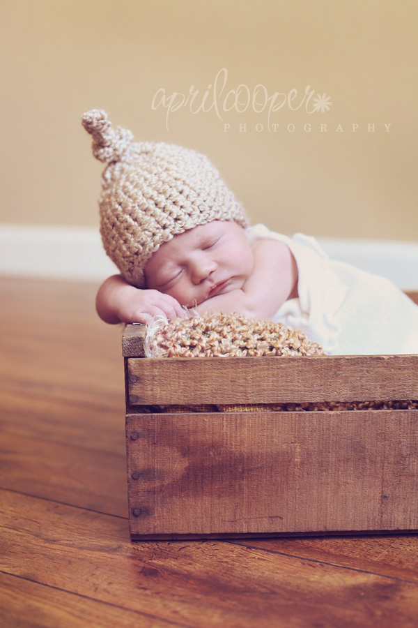 April Cooper Photography Newborn, Child, & Family Photographer ...