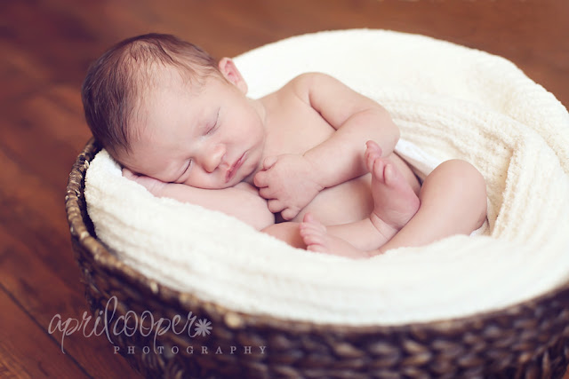 April Cooper Photography Newborn, Child, & Family Photographer ...