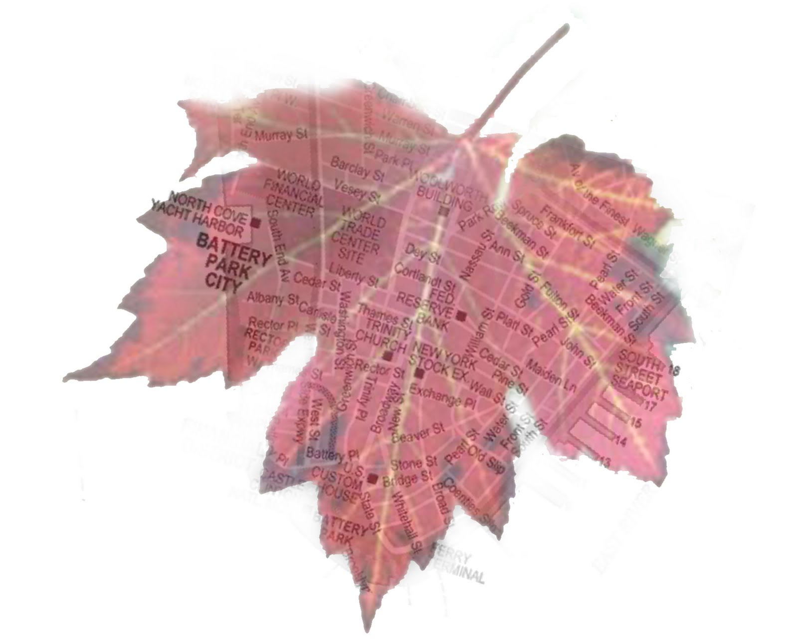 universitysettlementphoto: 2010-09-12