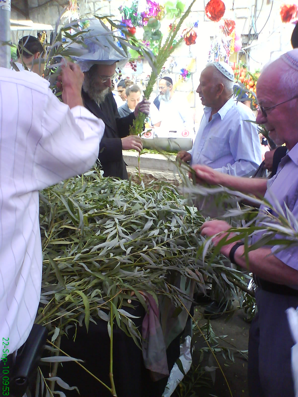 Shearim: Lulav Photos from Jerusalem