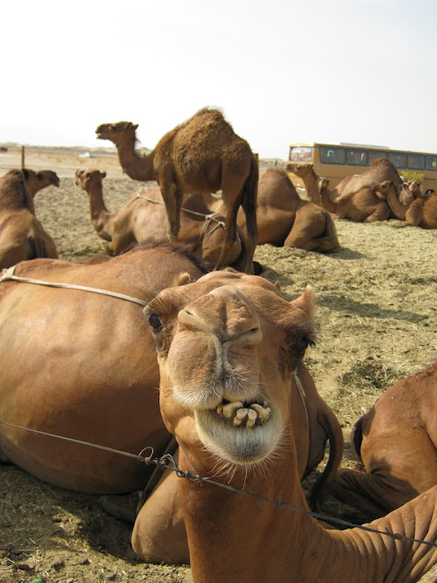 YULIKA SATRIA DAYA: MEKKAH AL MUKAROMAH