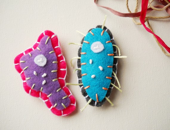 Saints and Spinners: Molecules and Microbes in Felt