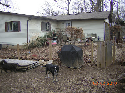 Ghetto Gardens: Backyard renovation