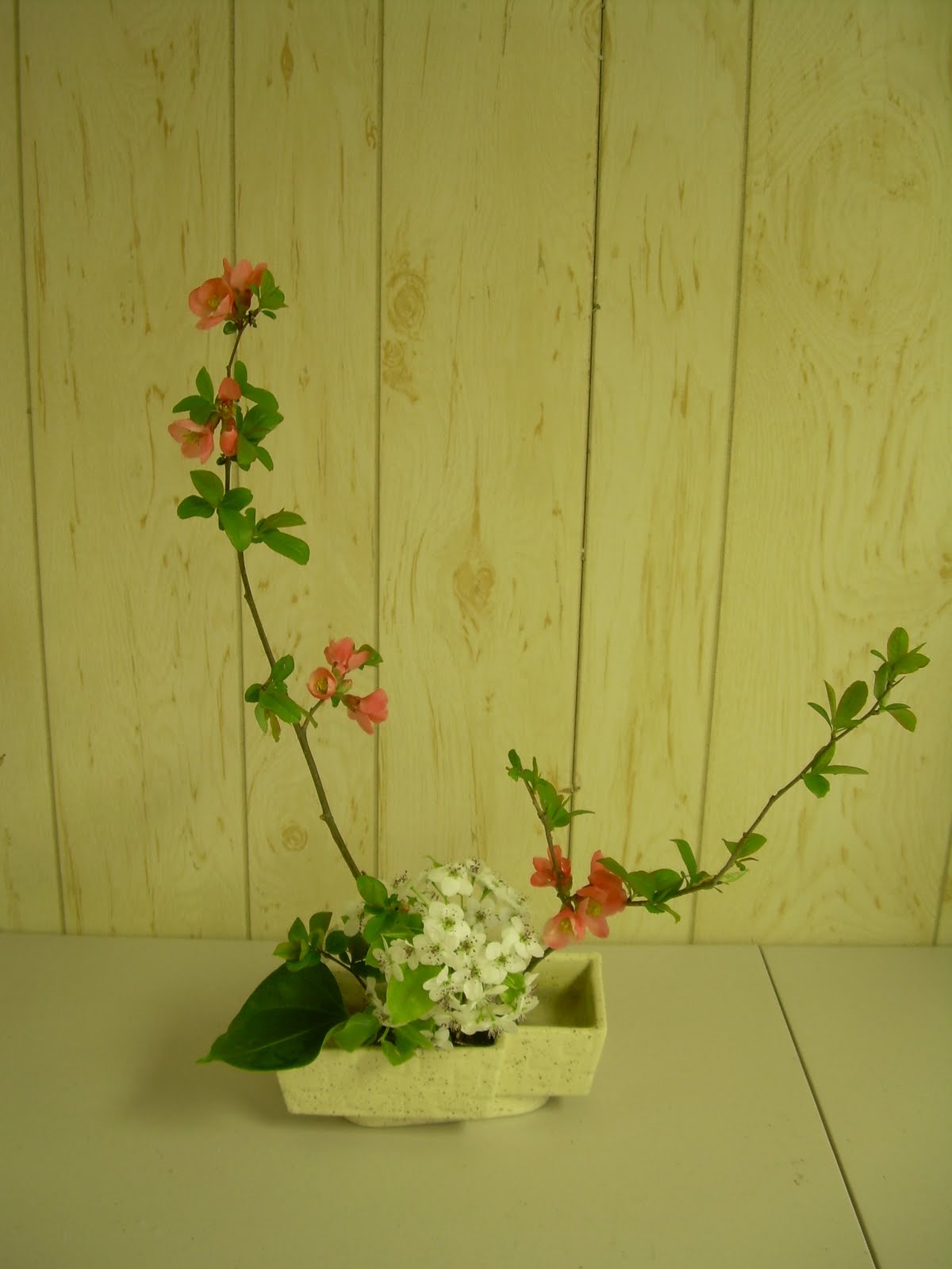 Orchids and Ikebana: Upright Style Moribana Variation No.3