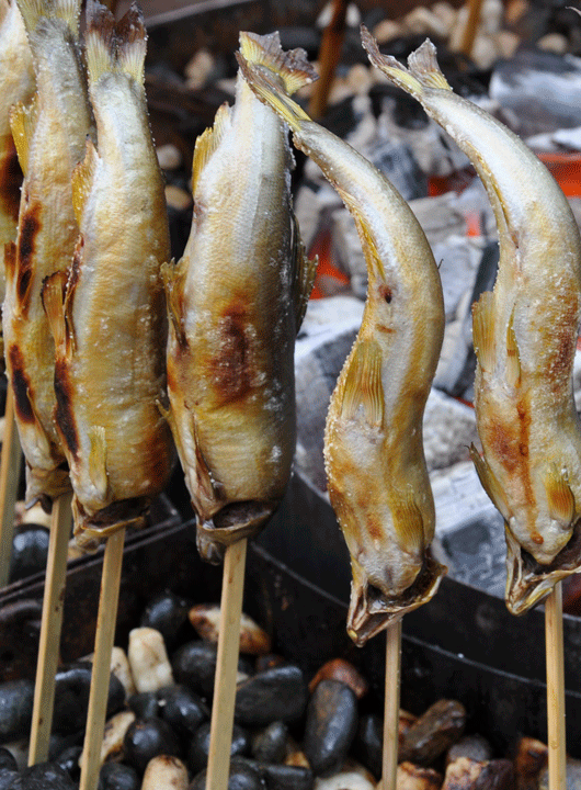 Traveling around Misawa, Japan: Tanabata Festival: Hachinohe City