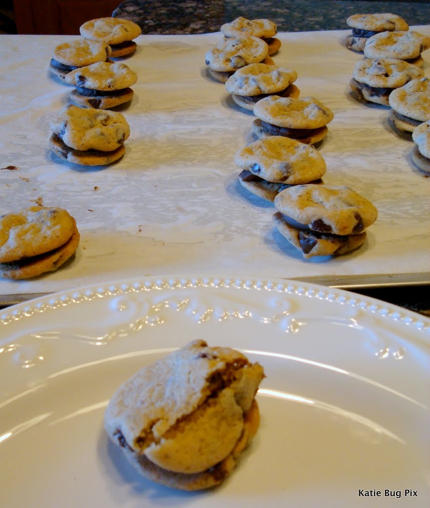 Cookie Crumbs: Happy Birthday Oh Katie! Cookies. You made it a year!