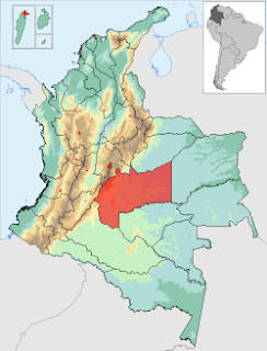 RED UNIDOS META: DEPARTAMENTO DEL META