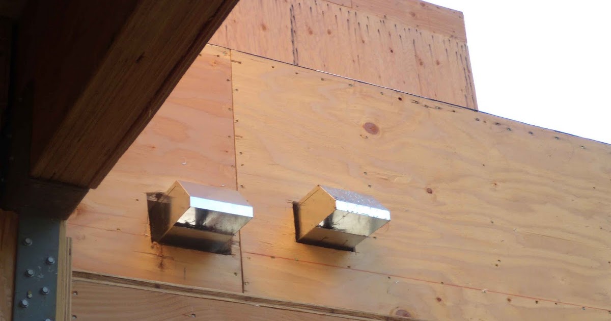 nobhillhaus: Oh Scupper, my scupper